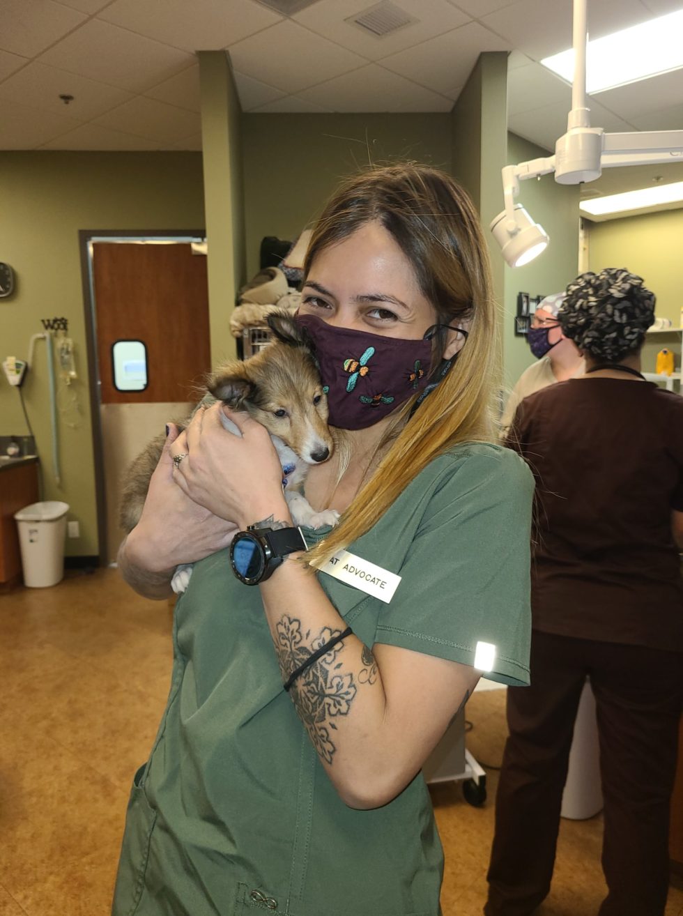 Best Vet in Aurora, CO | Loving Family Animal Hospital