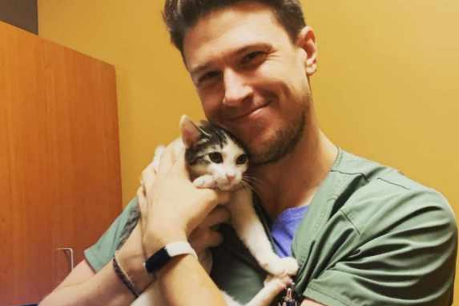 LFAH Cat Friendly | Loving Family Animal Hospital