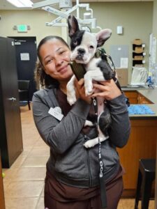 Best Veterinary Hospital in Aurora, CO | Loving Family Animal Hospital